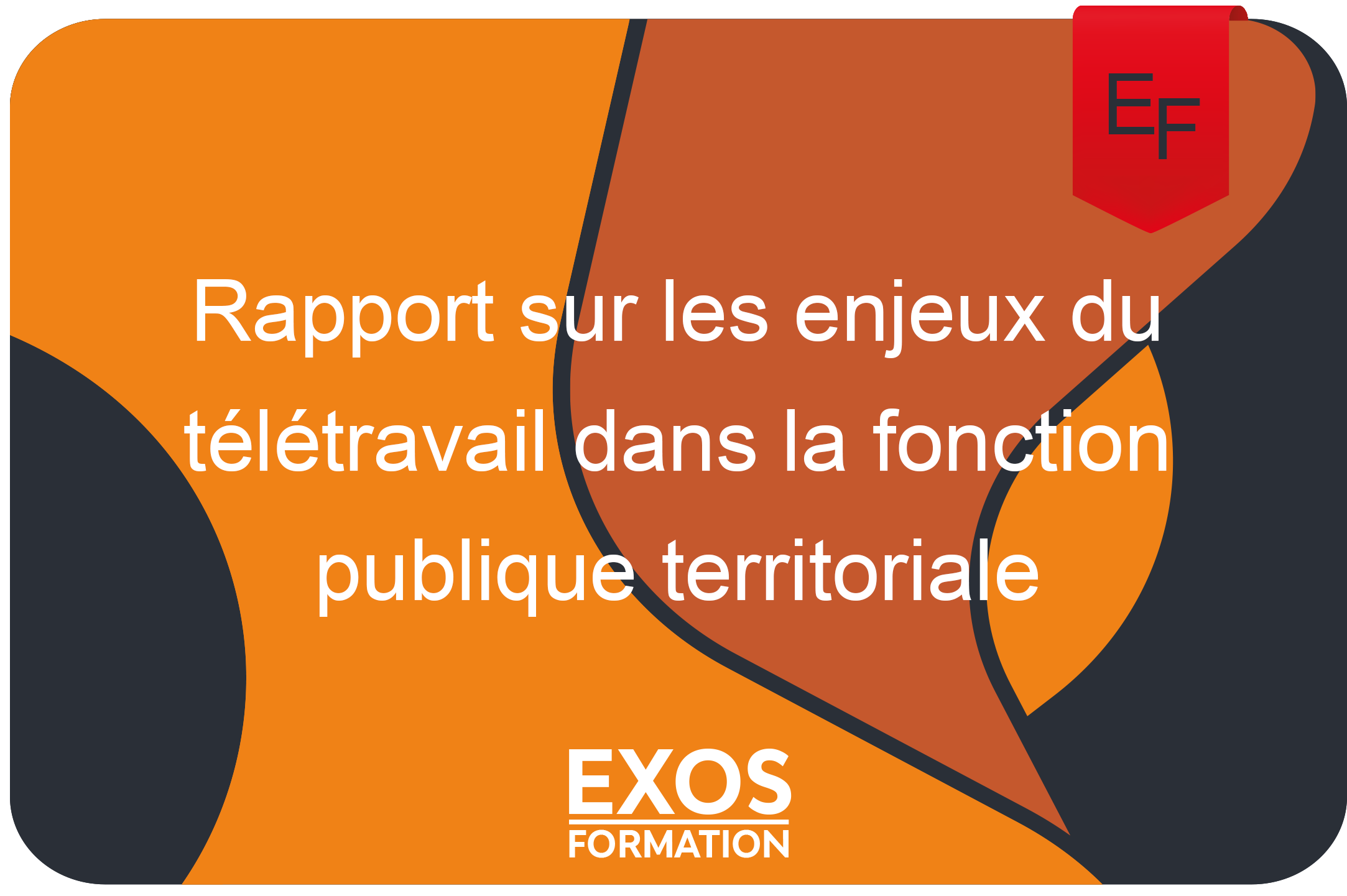 Rapport sur les enjeux du télétravail dans la fonction publique territ ...